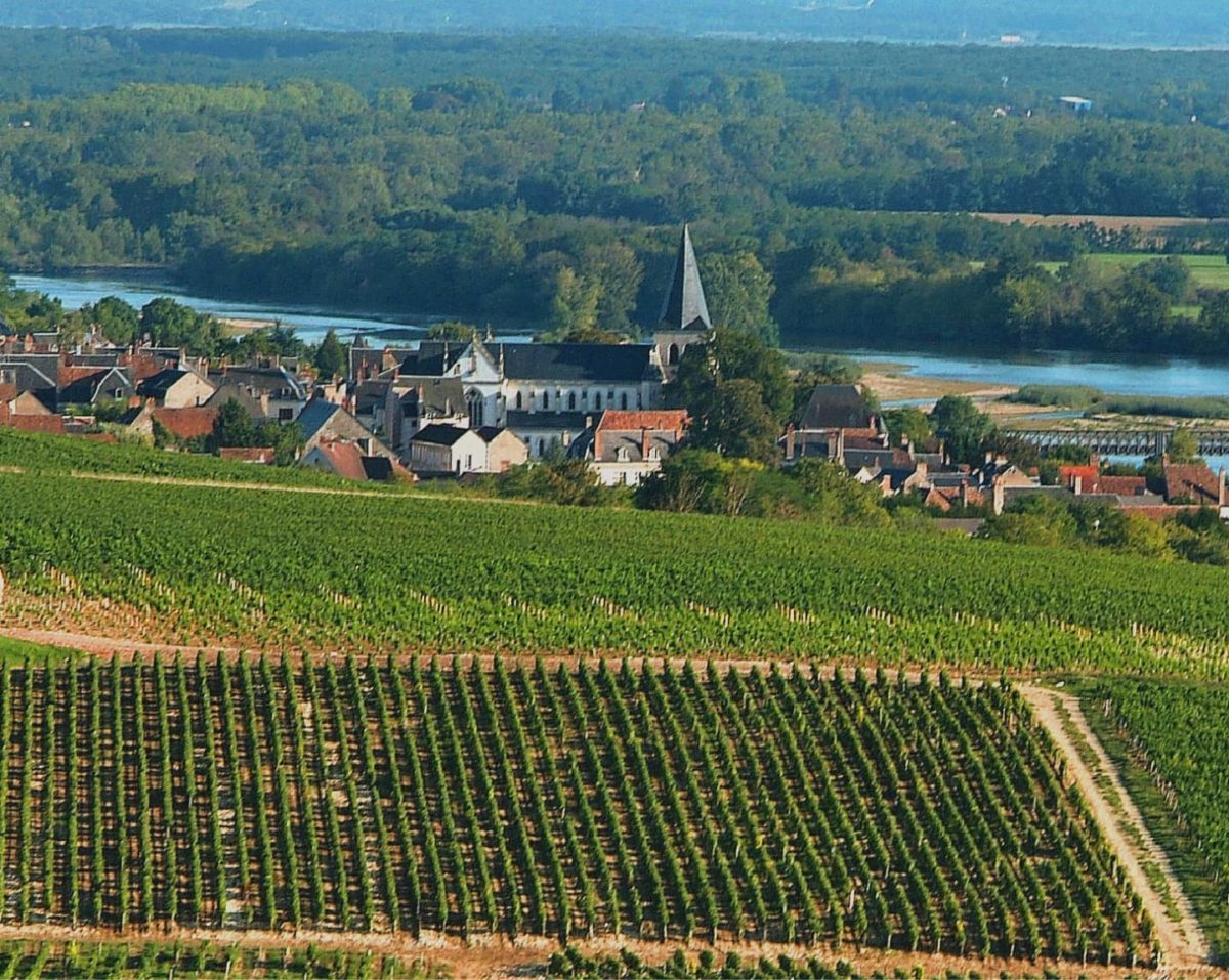 The Hazy Light of Corot and the Light Smoke of Pouilly Fumé. - Of Art ...