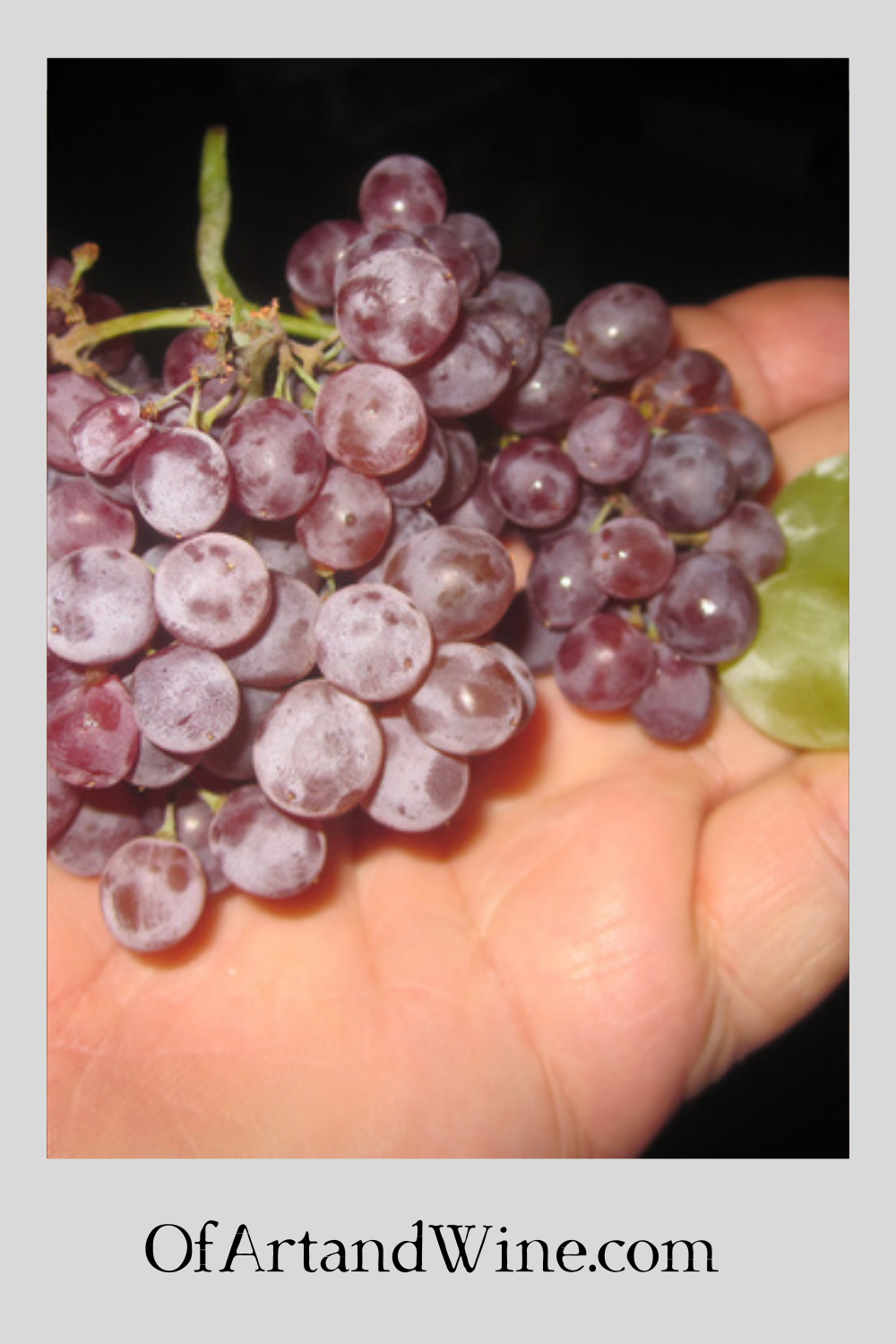 Marie Antoinette Lost Her Head Over a Painting, and Champagne. - Of Art ...