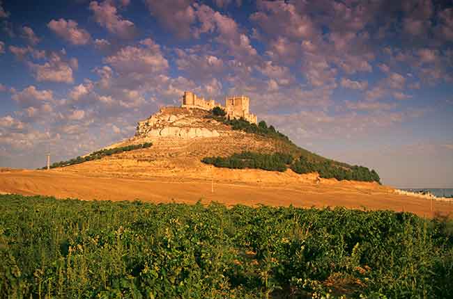 A Man of La Mancha, and Wines of Castilla. - Of Art and Wine